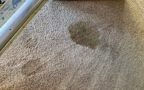 4 Steps To Get Melted Wax Out Of The Carpet